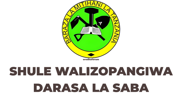 Shule Walizopangiwa Darasa la Saba 2025 NECTA